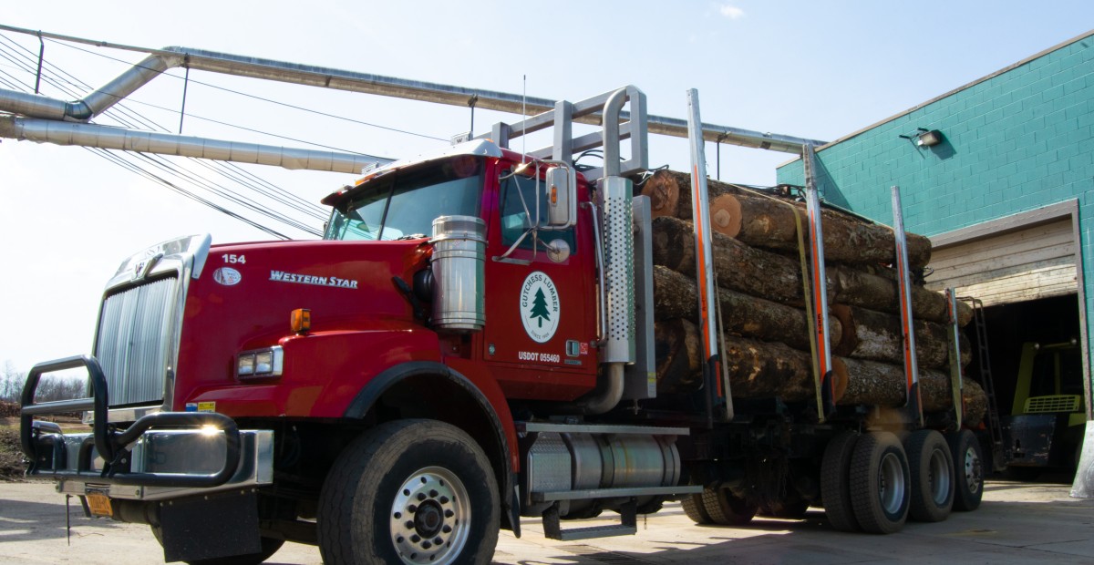 The Importance of using Hardwood in Urban Infrastructure Projects ...